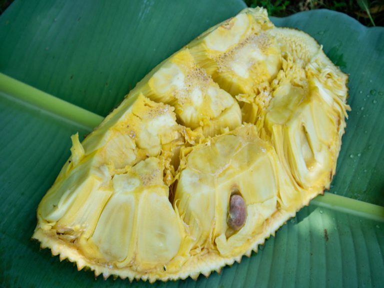 These 10 Benefits Are Why Jackfruit is Being Called a Super Fruit ...