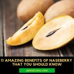 11 Amazing Benefits of Naseberry that you Should Know - Jamaicans and ...