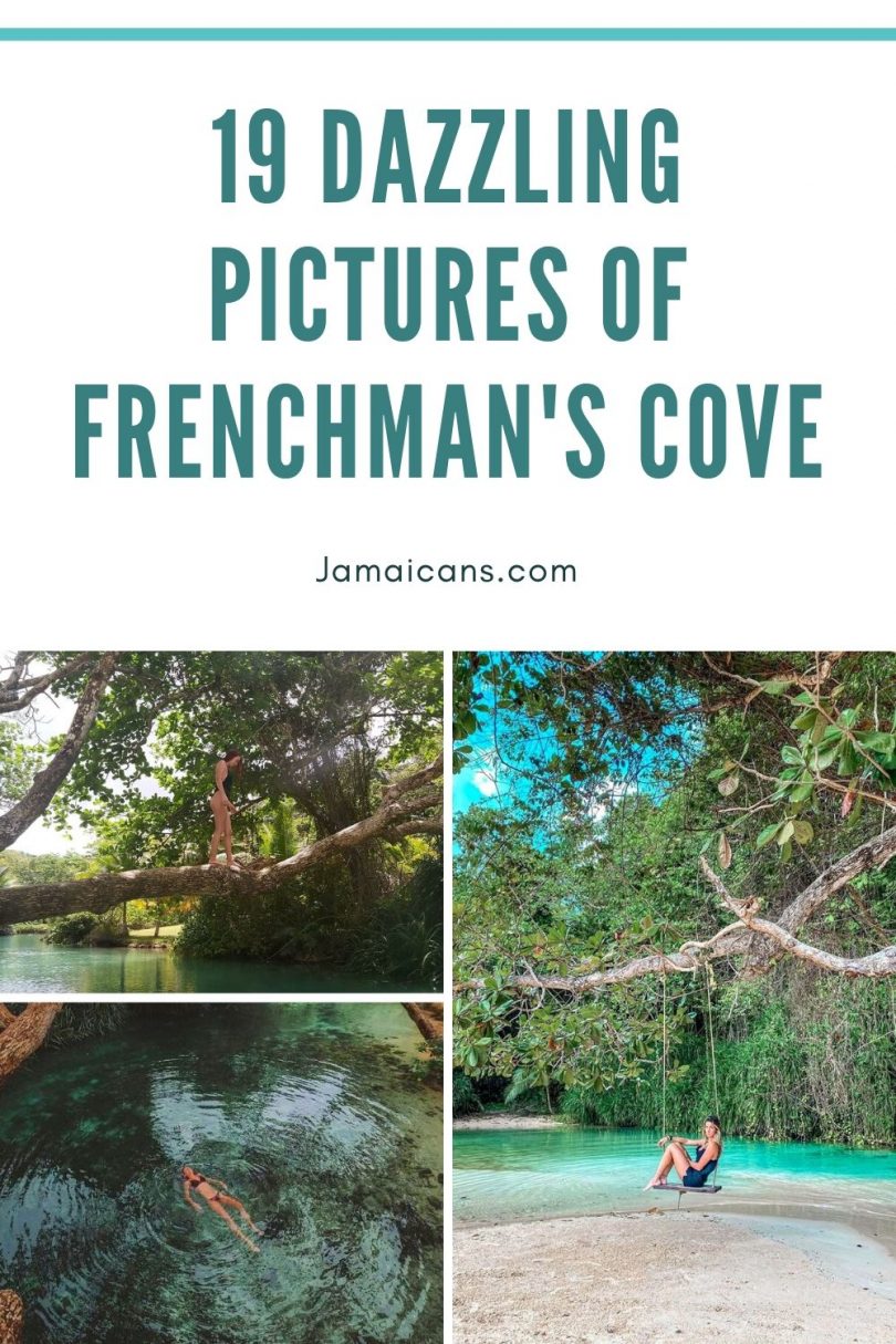 19 Dazzling Pictures of Frenchman's Cove - Jamaicans and Jamaica ...