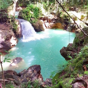 Portland Road, Fruits and Vegetables, Breadnut Valley Falls - This Week ...