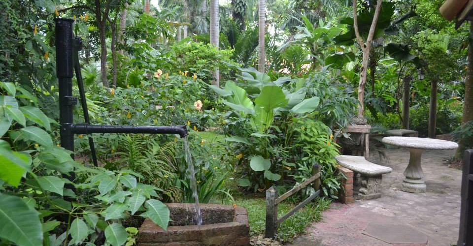 Day 25 of 365 Things to Do, See & Eat in Jamaica – The Coyaba River ...