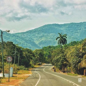 Portland Road, Fruits and Vegetables, Breadnut Valley Falls - This Week ...