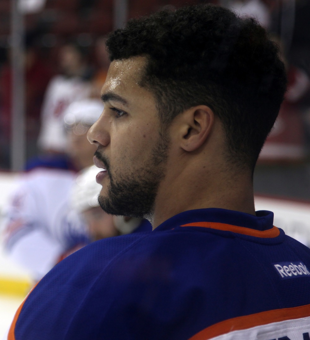 5 National Hockey League Players of Jamaican descent - Jamaicans and ...