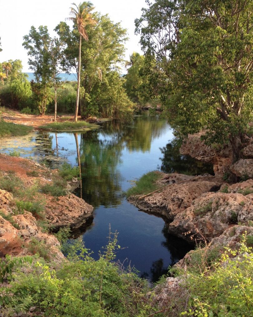 The 8 Best ‘Irie’ Beaches of Jamaica - Jamaicans and Jamaica ...