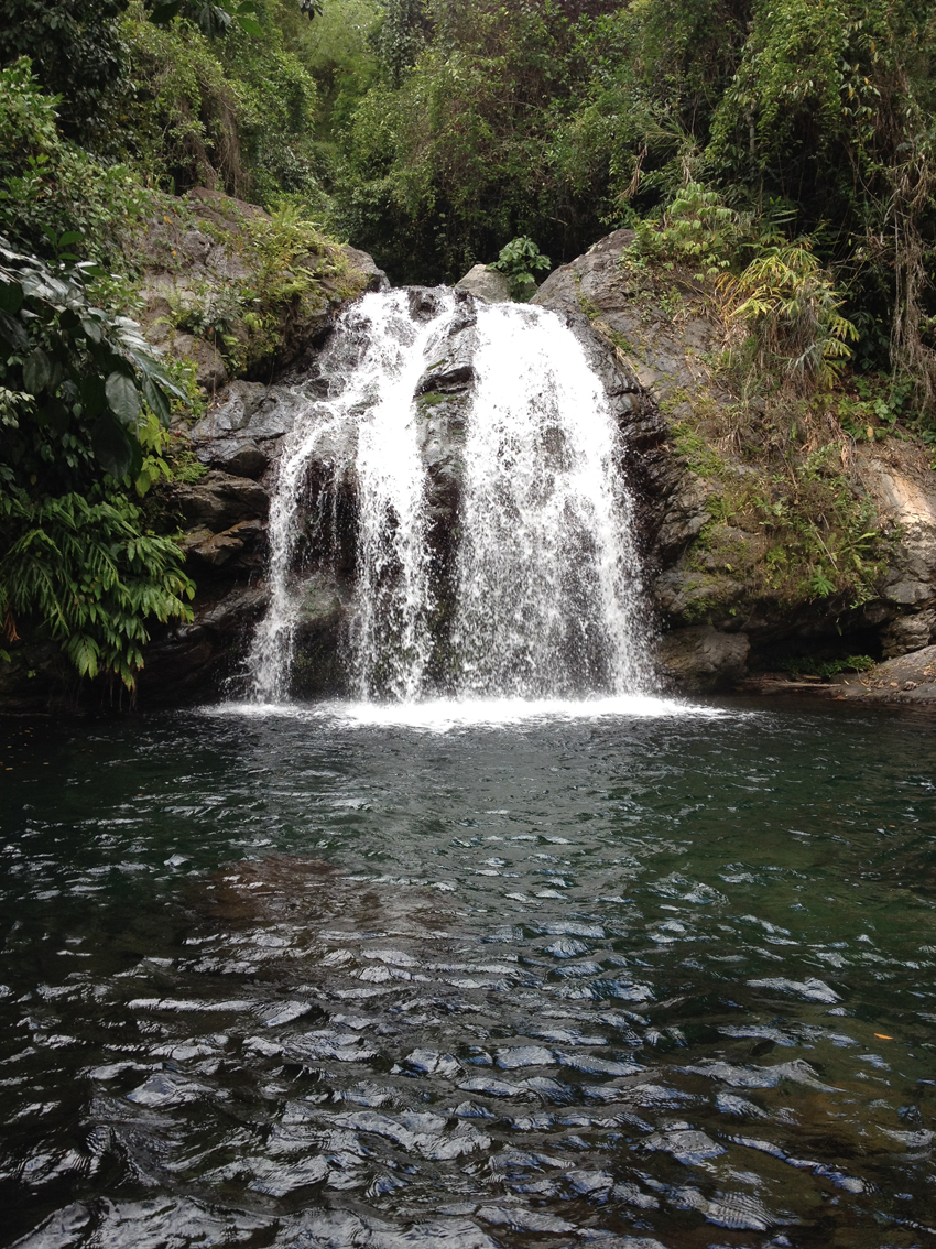 Choose From These 7 Amazing Waterfalls in Jamaica