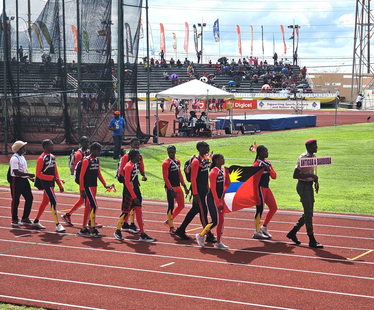 Kaleidoscope of Flag Colors Glistened for 'Parade of Countries' at ...