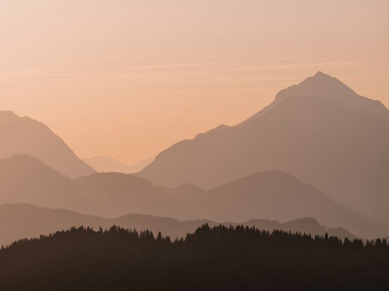 Ras Daniel Heartman: The Artist Who Defined Rastafari in Art and Film