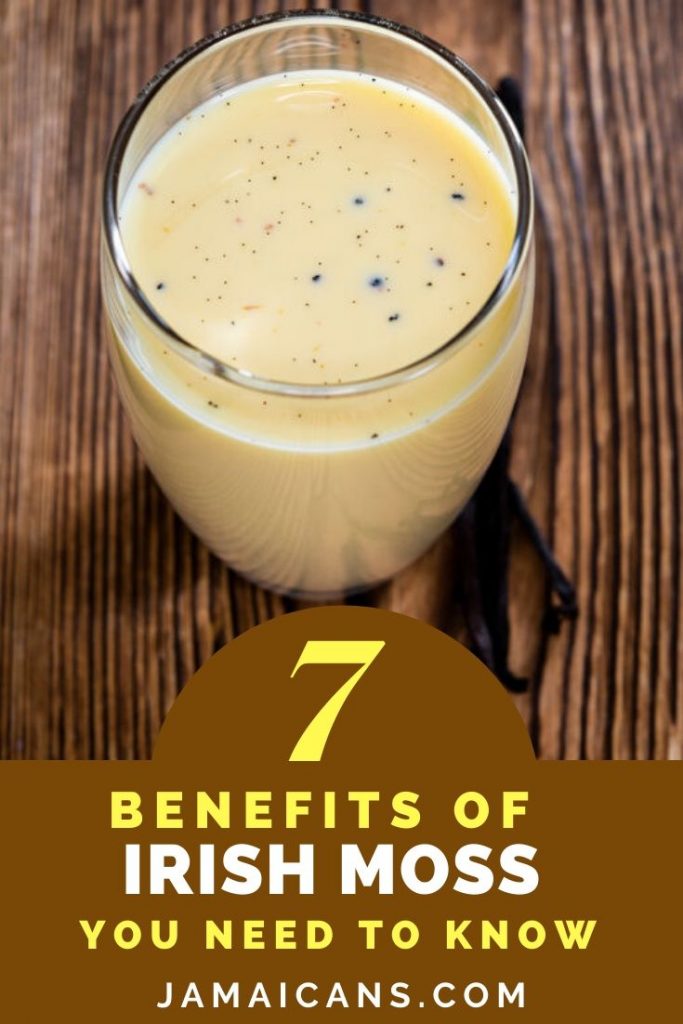 7 Benefits of Irish Moss You Need to Know - Jamaicans and Jamaica ...