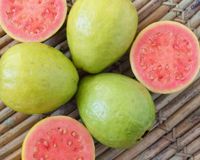 Exploring Jamaican Food: Guava