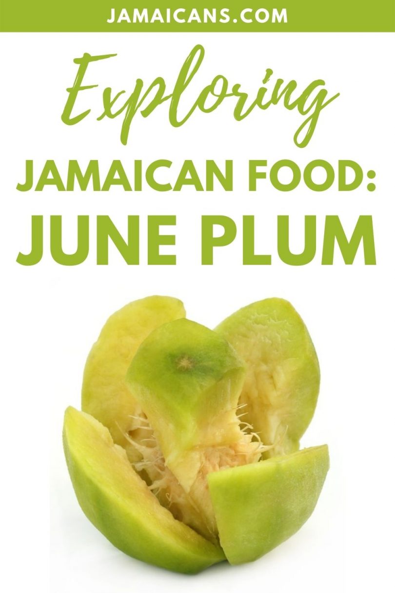 Exploring Jamaican Food: June Plum - Jamaicans and Jamaica - Jamaicans.com