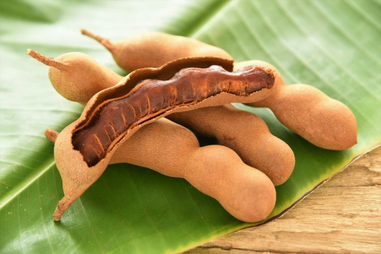 Exploring Jamaican Food: Tamarind