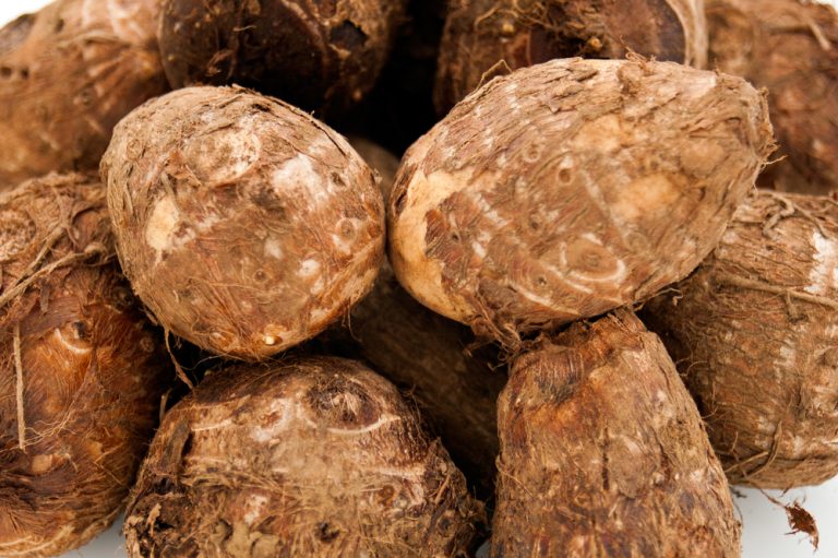 Forbes Magazine Touts New Importance of Dasheen