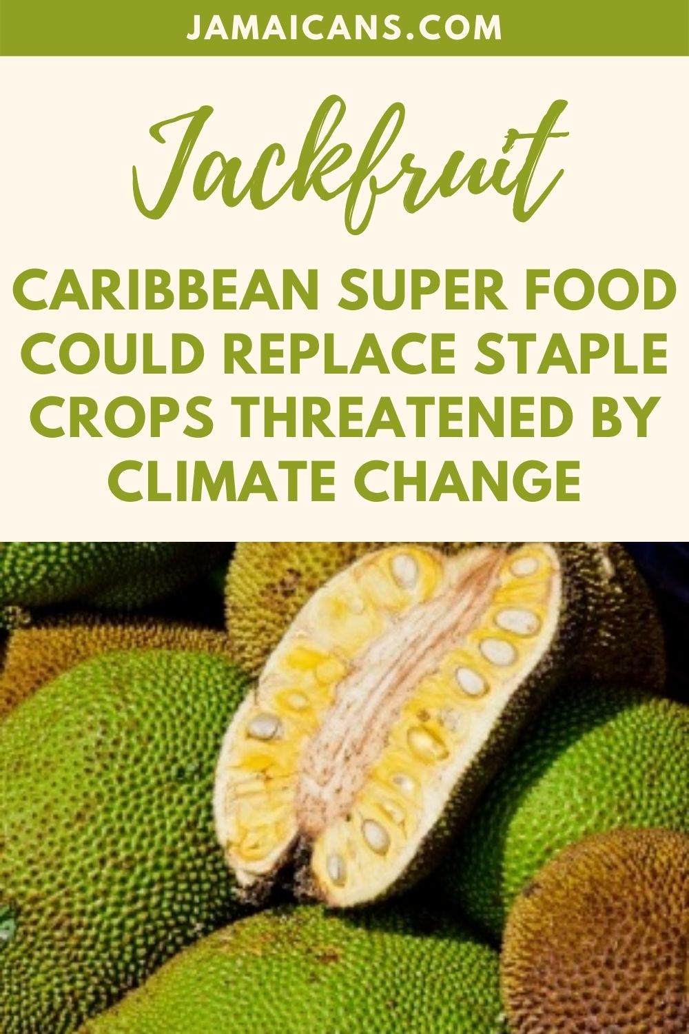 Jackfruit - Caribbean Super Food Could Replace Staple Crops Threatened ...