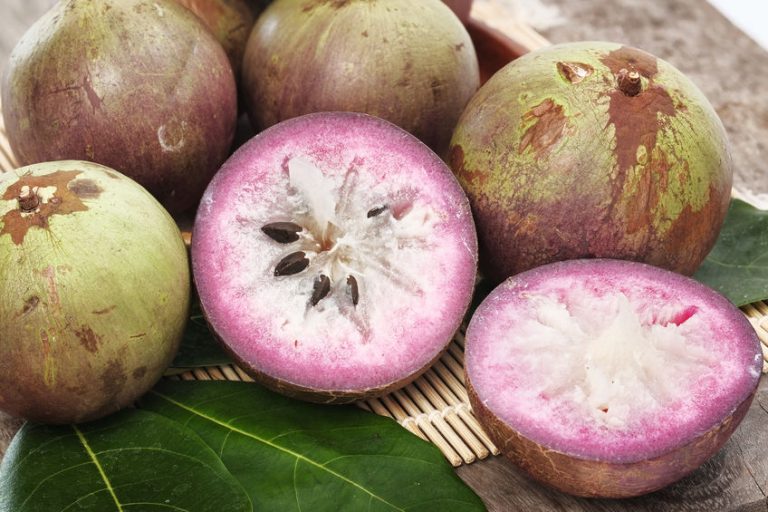 8 Star Apple Benefits You Need to Know - Jamaicans and Jamaica ...