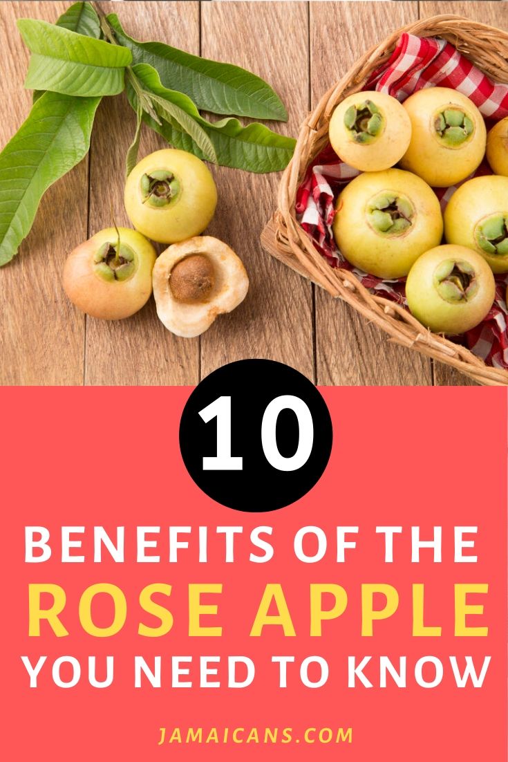 The 10 Benefits of the Rose Apple you Need to Know - Jamaicans and ...