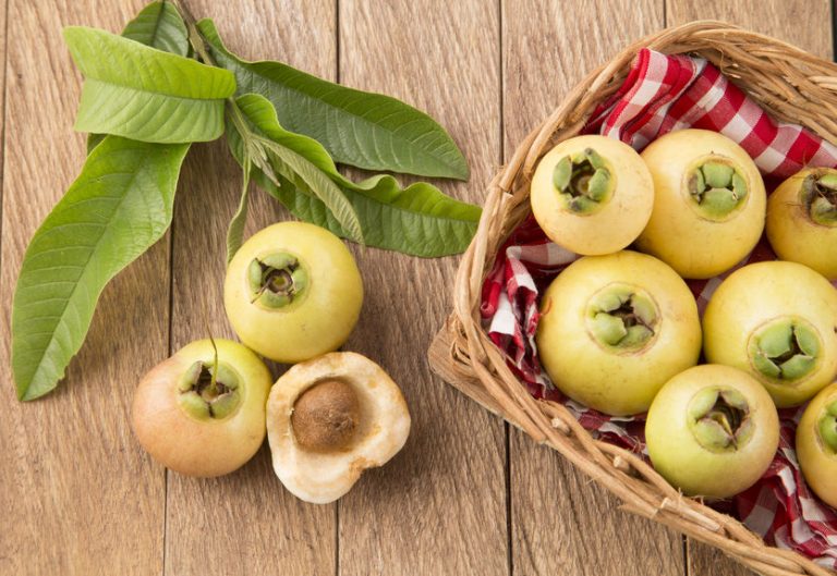 The 10 Benefits of the Rose Apple you Need to Know - Jamaicans and ...