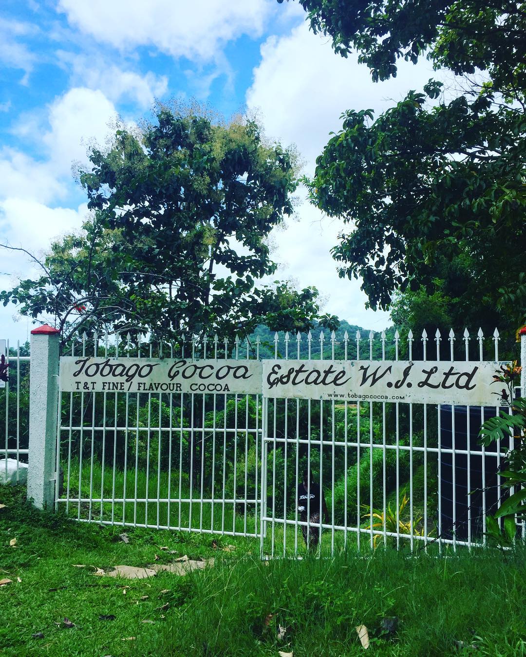 The 7 Best Things to Do on a Visit to Trinidad and Tobago - Jamaicans ...