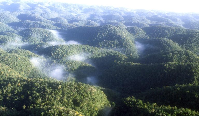 Five Reasons to Protect Cockpit Country - Jamaicans and Jamaica ...