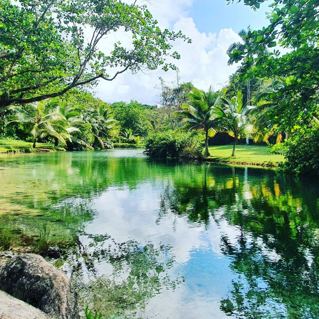 19 Dazzling Pictures of Frenchman's Cove - Jamaicans and Jamaica ...