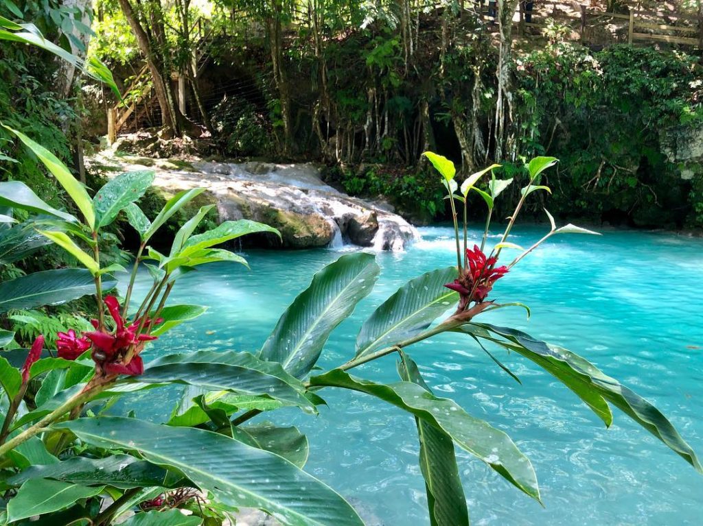 9 Stunning Photos of Blue Hole, Ocho Rios - Jamaicans and Jamaica ...