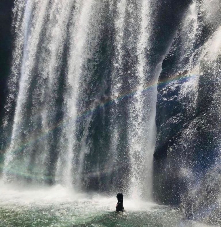 11 Breathtaking Photos of Reggae Falls - Jamaicans and Jamaica ...