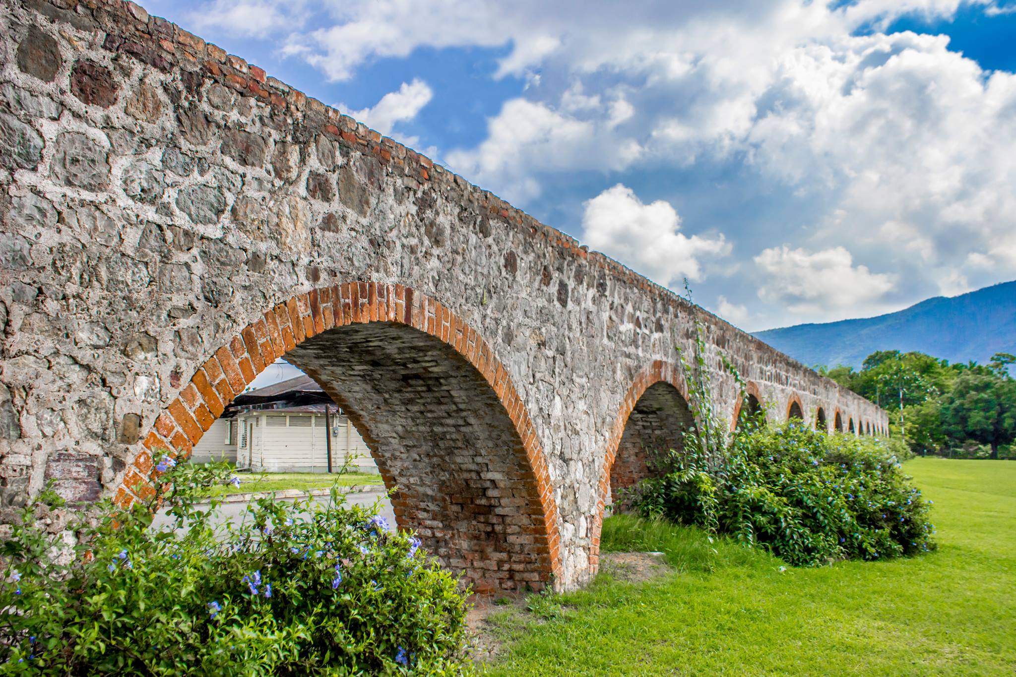 University of the West Indies Named One of World's Top 100 Universities ...